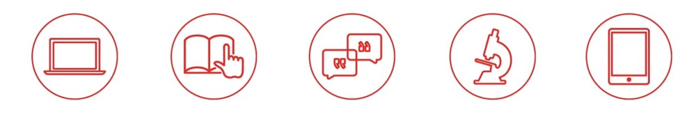 Educational Software for Elementary Students: 9 Expert Picks | Prodigy ...